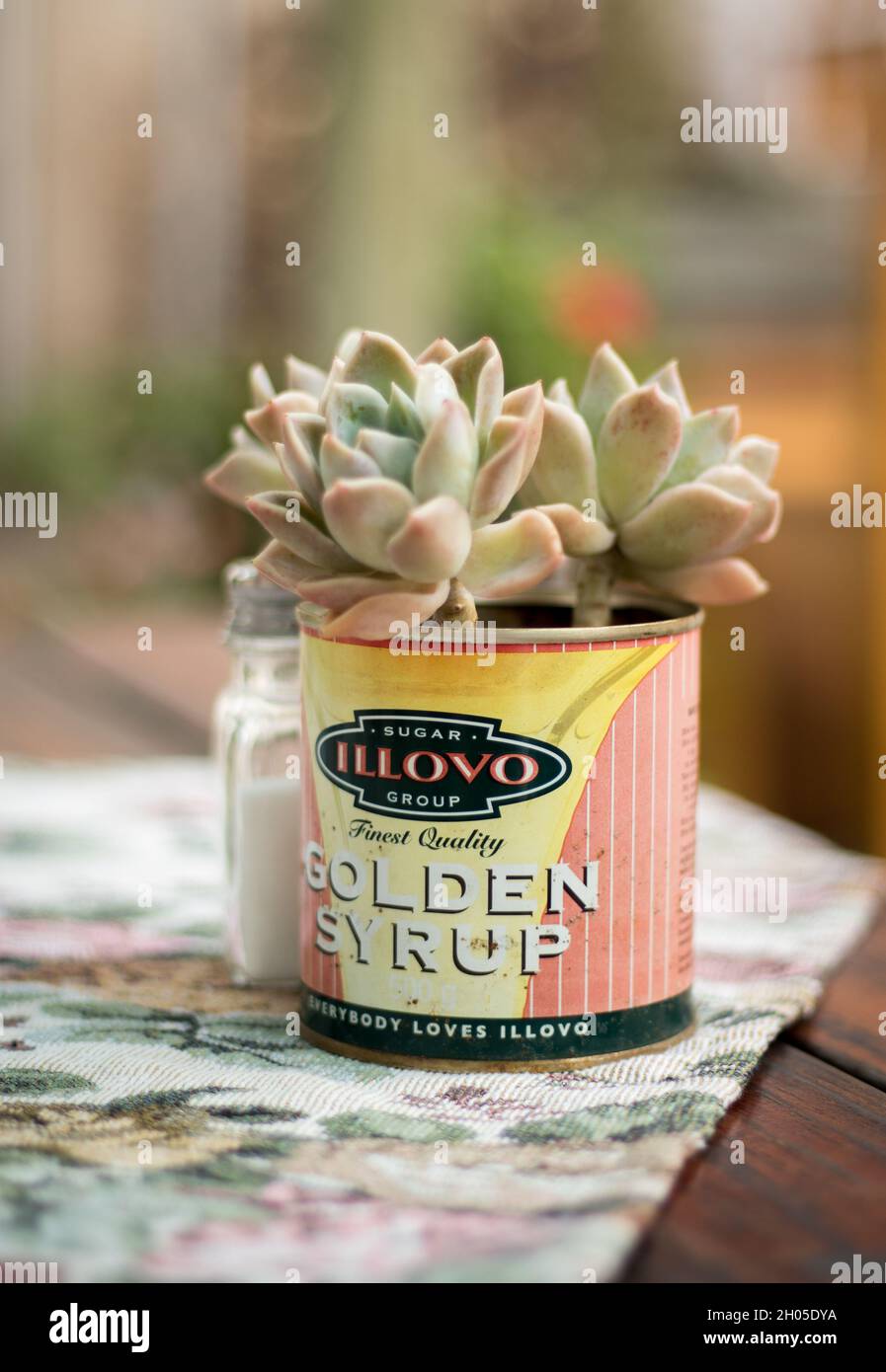 Repurposed flower pot hi-res stock photography and images - Alamy