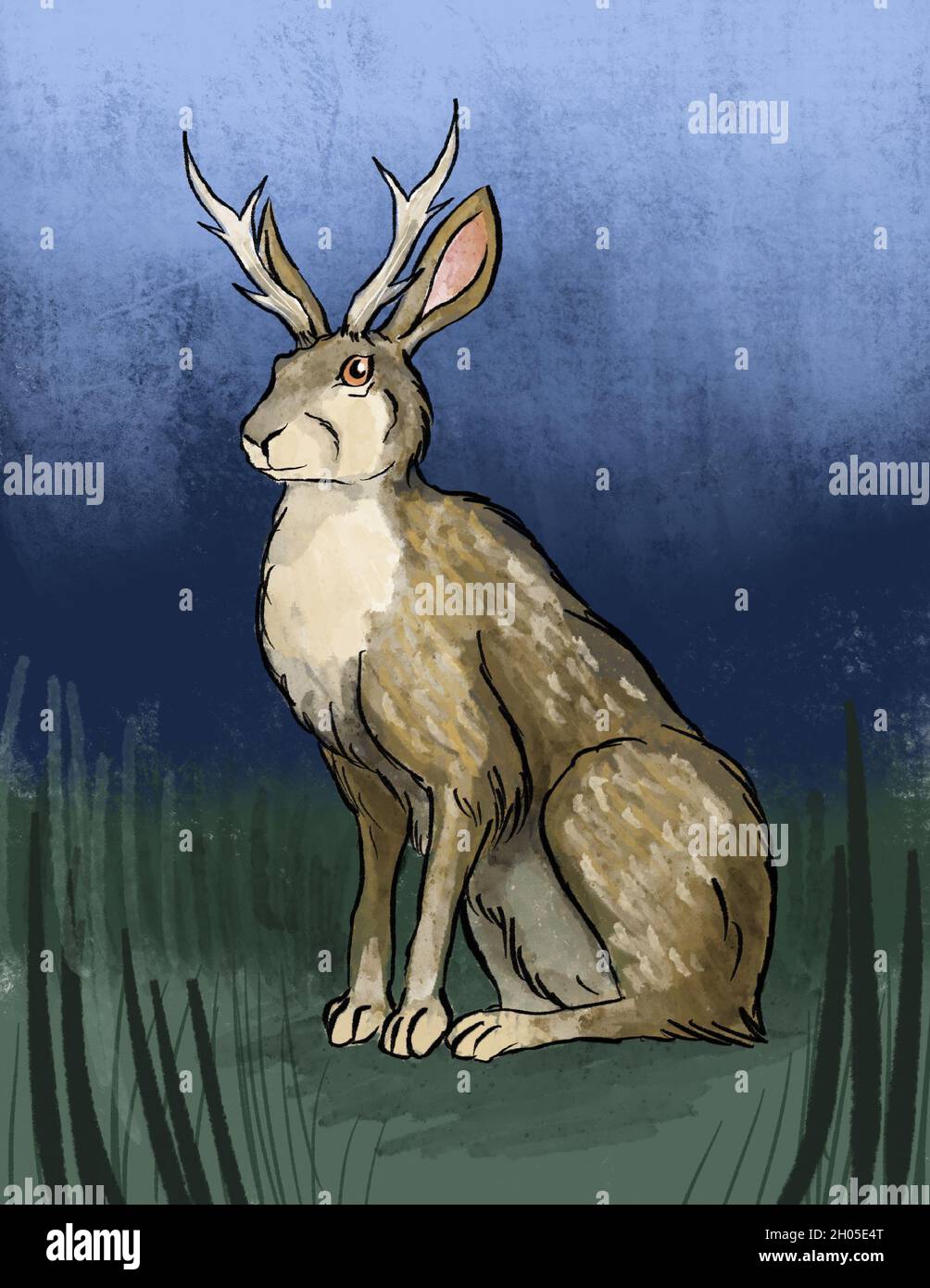 Jackalope hi-res stock photography and images - Alamy
