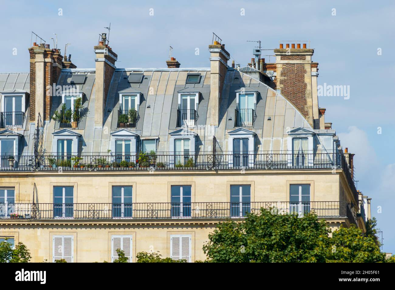 Typical architecture of Paris in France. The building roofs are curved ...