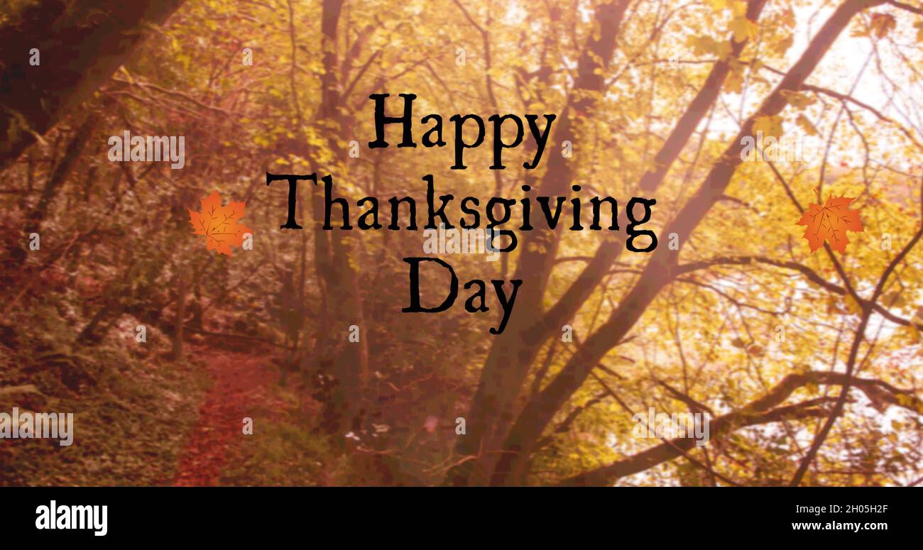 Digital composition of happy thanksgiving day text and autumn maple ...
