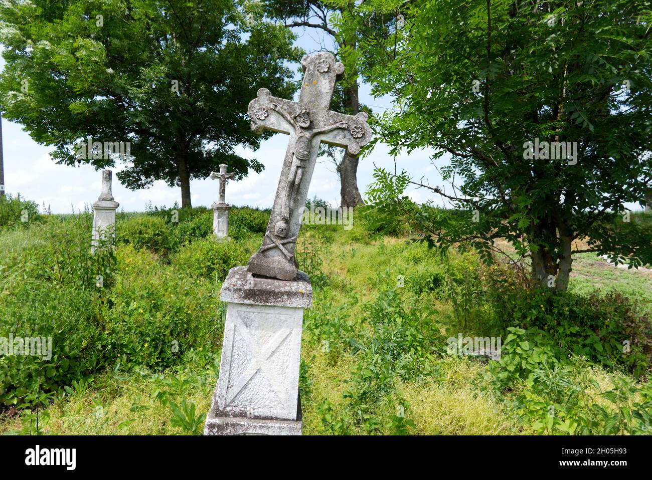 Historic headstones in old forgotten cemetery in the east of Poland ...