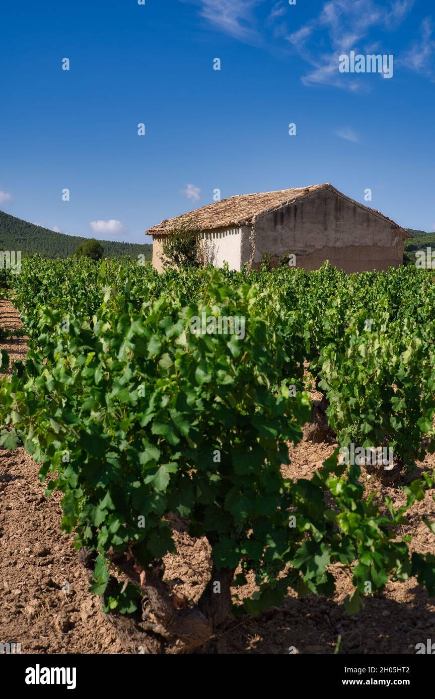 Bullas hi-res stock photography and images - Alamy