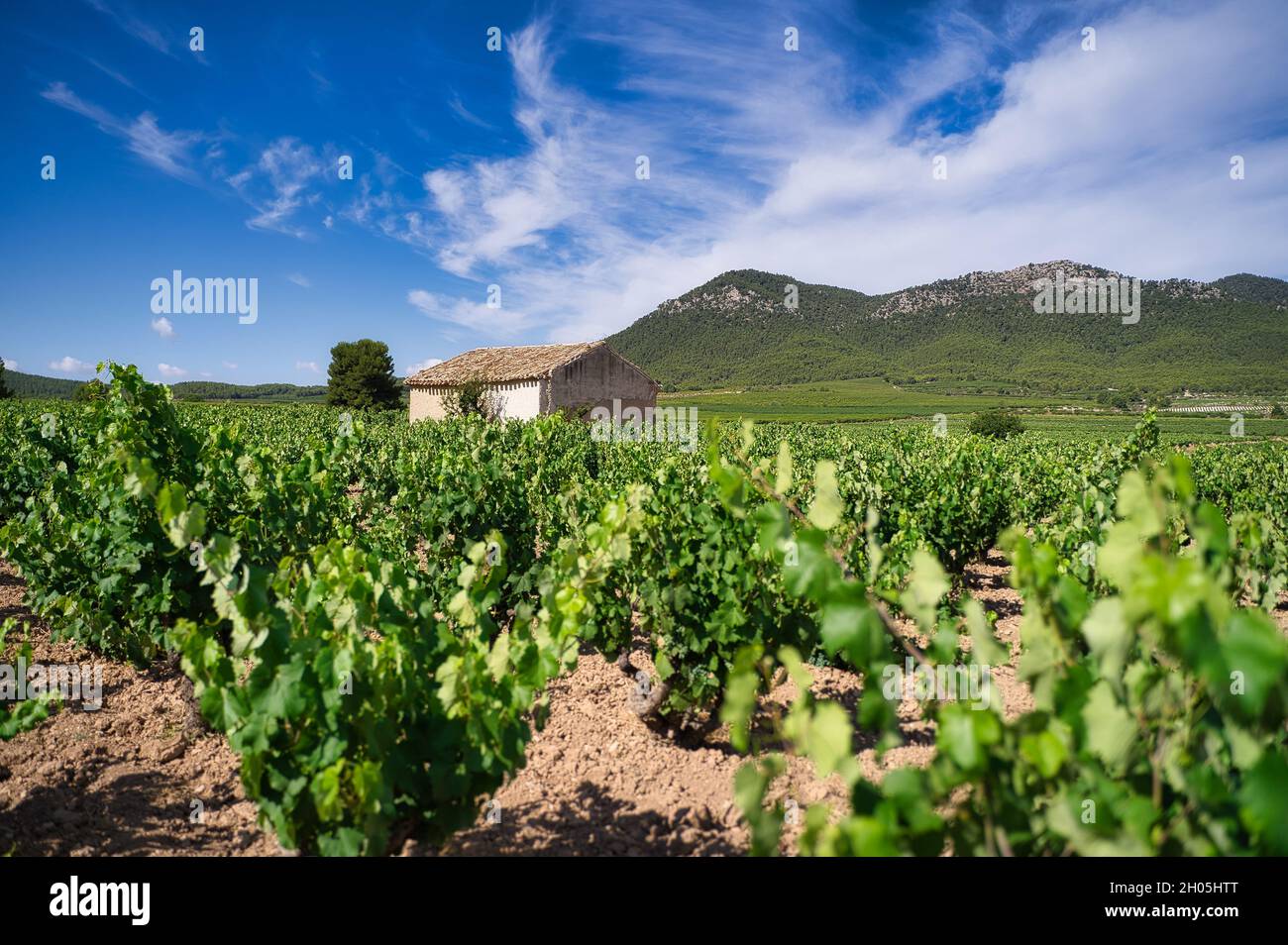 Bullas spain hi-res stock photography and images - Alamy