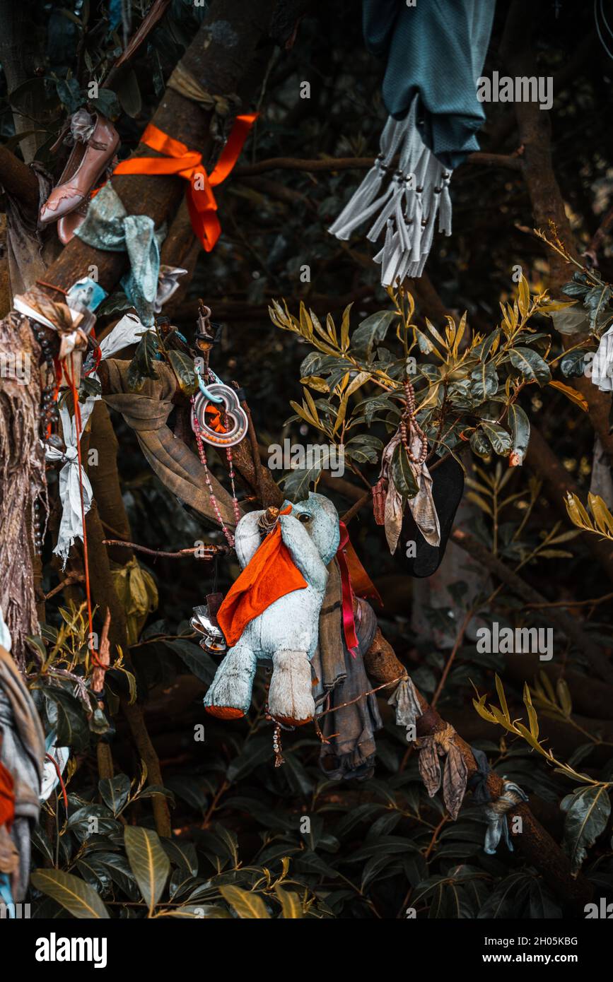 Clootie well hi-res stock photography and images - Alamy