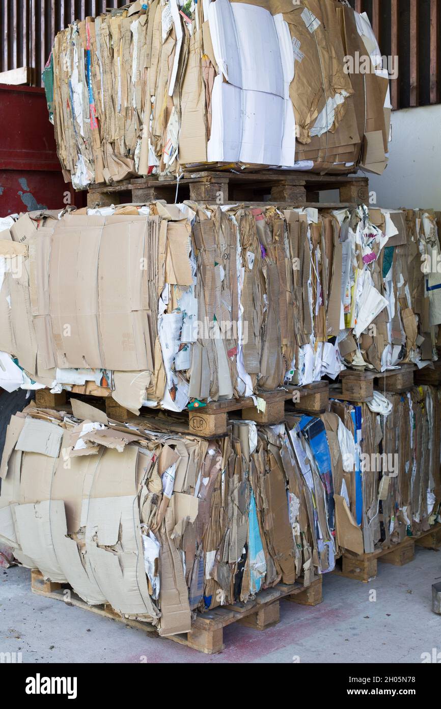 Cardboard recycle industry. Packages of old used carton. Ecology ...