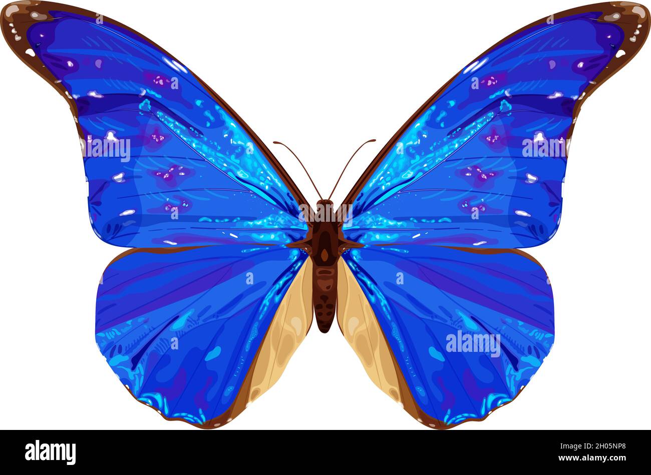 Blue butterfly. Tropical insect. Neon colors. Stock vector illustration ...