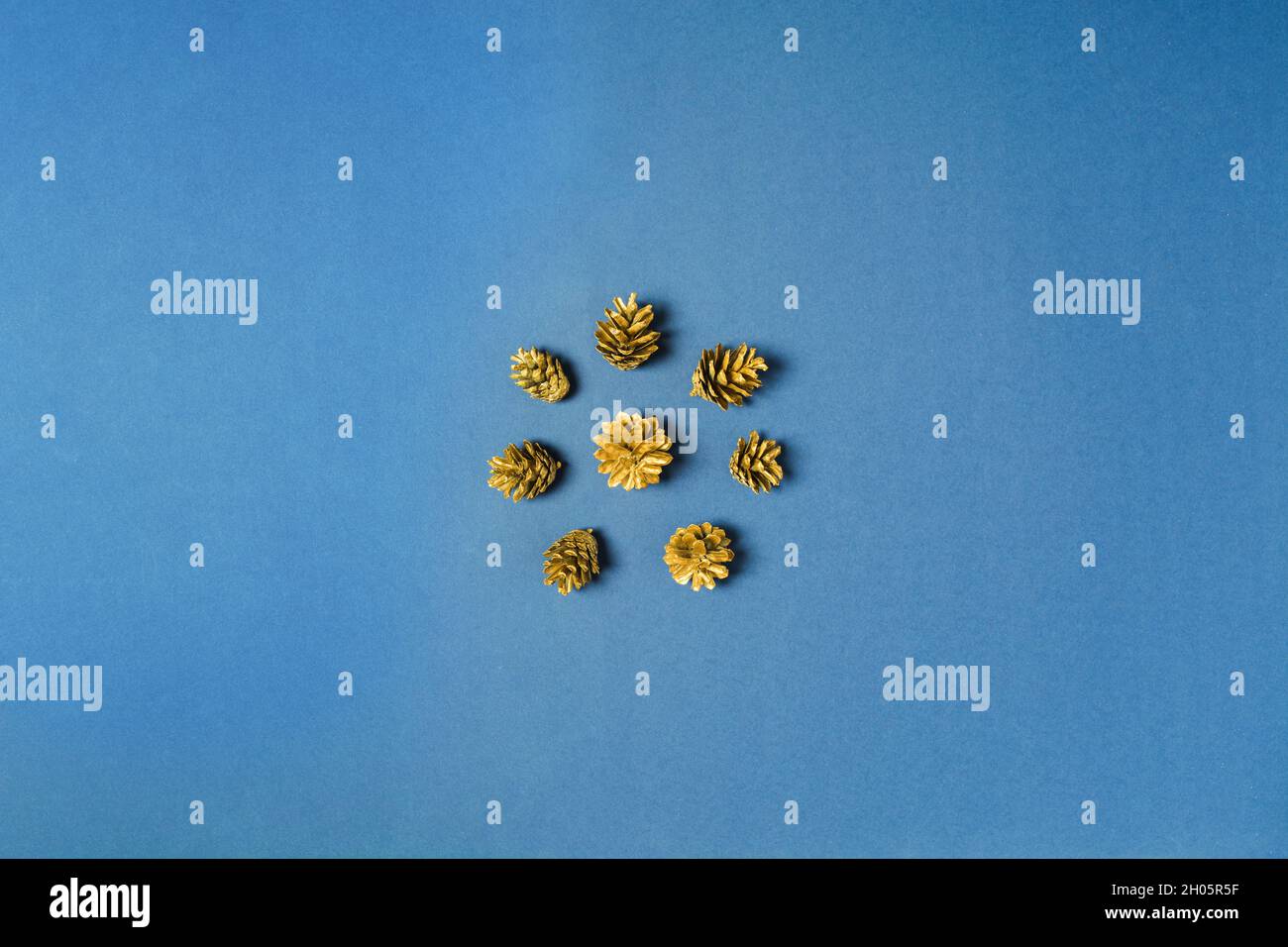 In center frame pine cone hi-res stock photography and images - Alamy