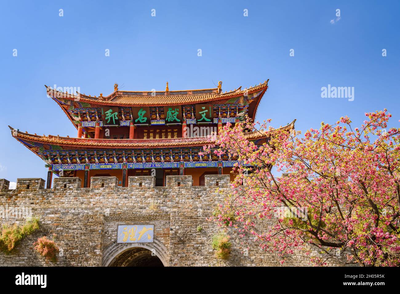 Spring season china flower hi-res stock photography and images - Alamy