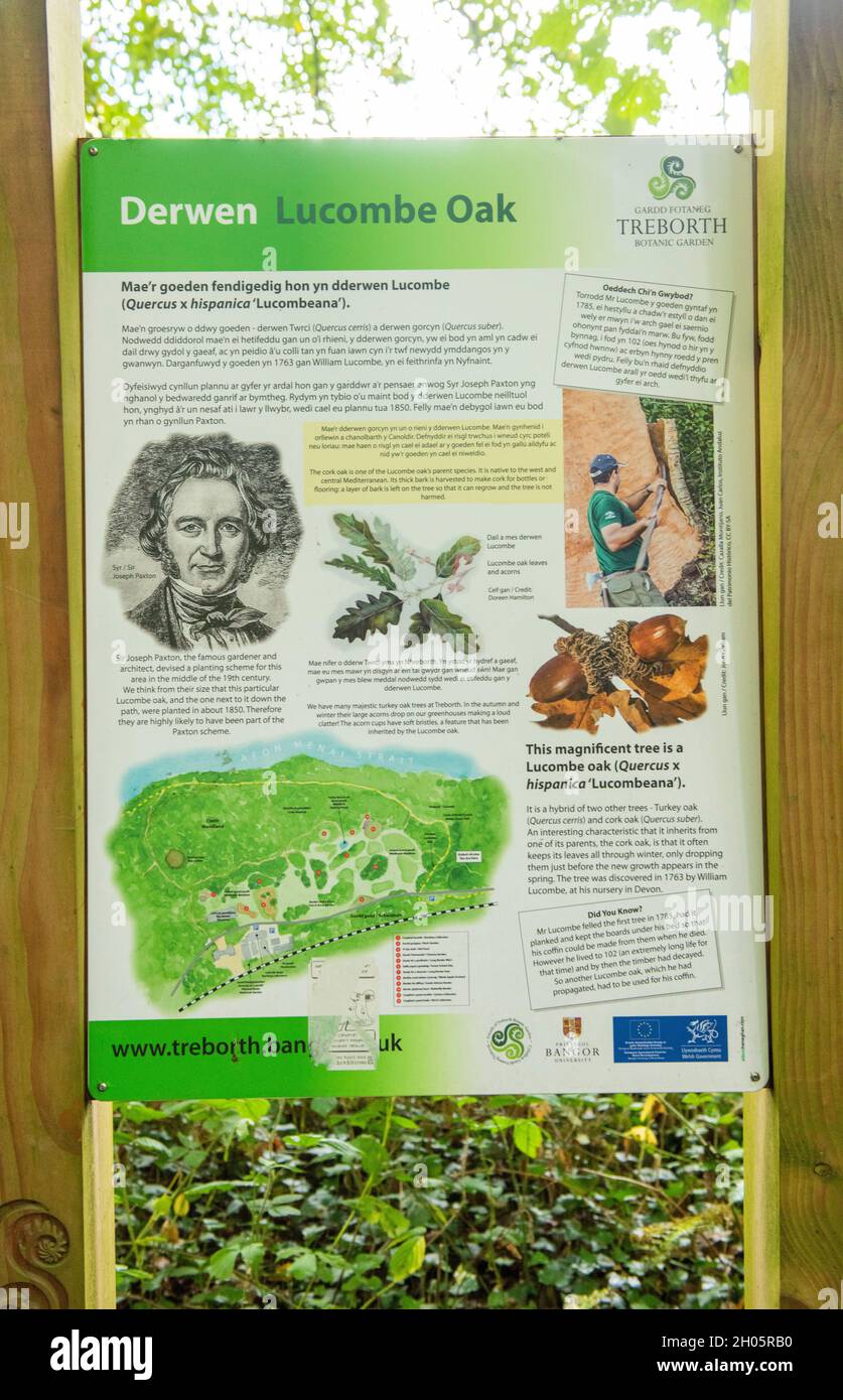 William lucombe hi-res stock photography and images - Alamy