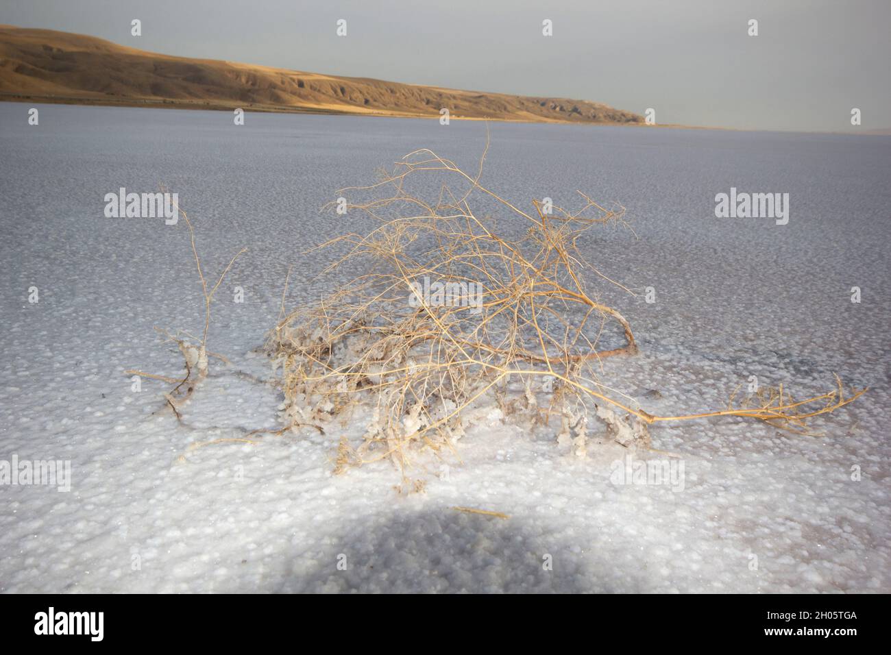 Tuz Golu Turkey. Salt Lake. White salt water Stock Photo - Alamy