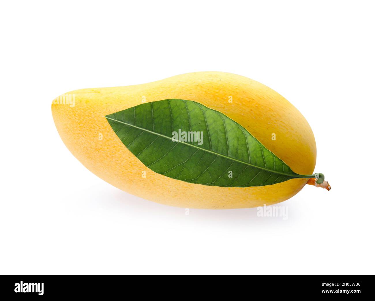 Fresh ripe mango with green leaf isolated on white Stock Photo - Alamy