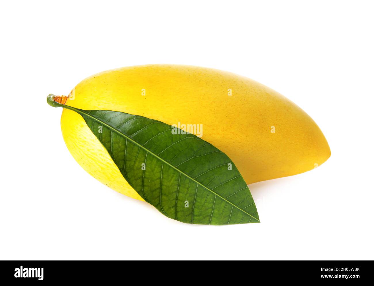 Fresh ripe mango with green leaf isolated on white Stock Photo - Alamy