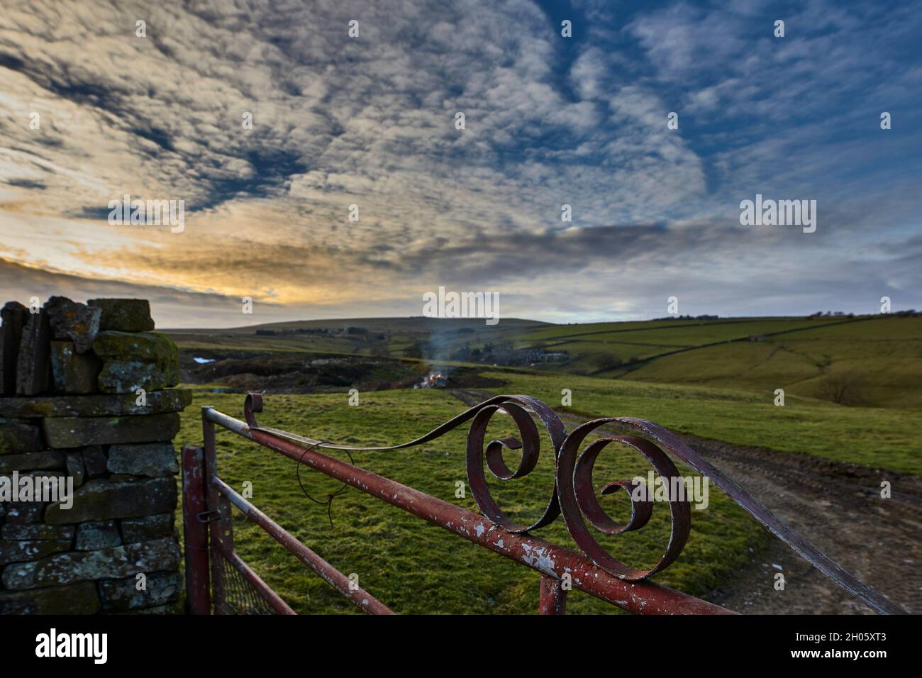 Ornamental wrought iron work on a metal farm gate Stock Photo - Alamy