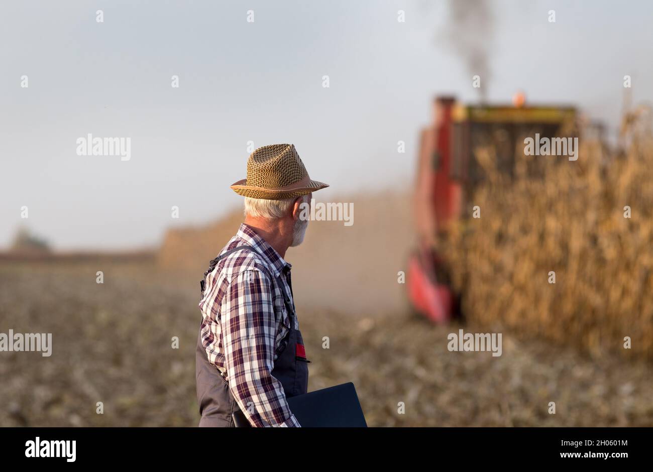 Combine harvester in corn field hi-res stock photography and images - Alamy