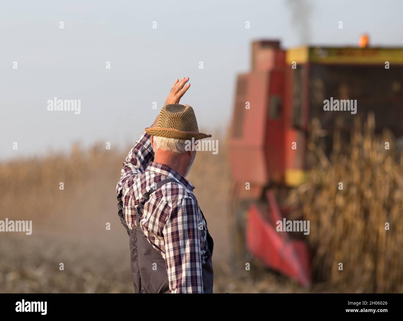 Combine harvester trailer in rural field at dusk hi-res stock ...