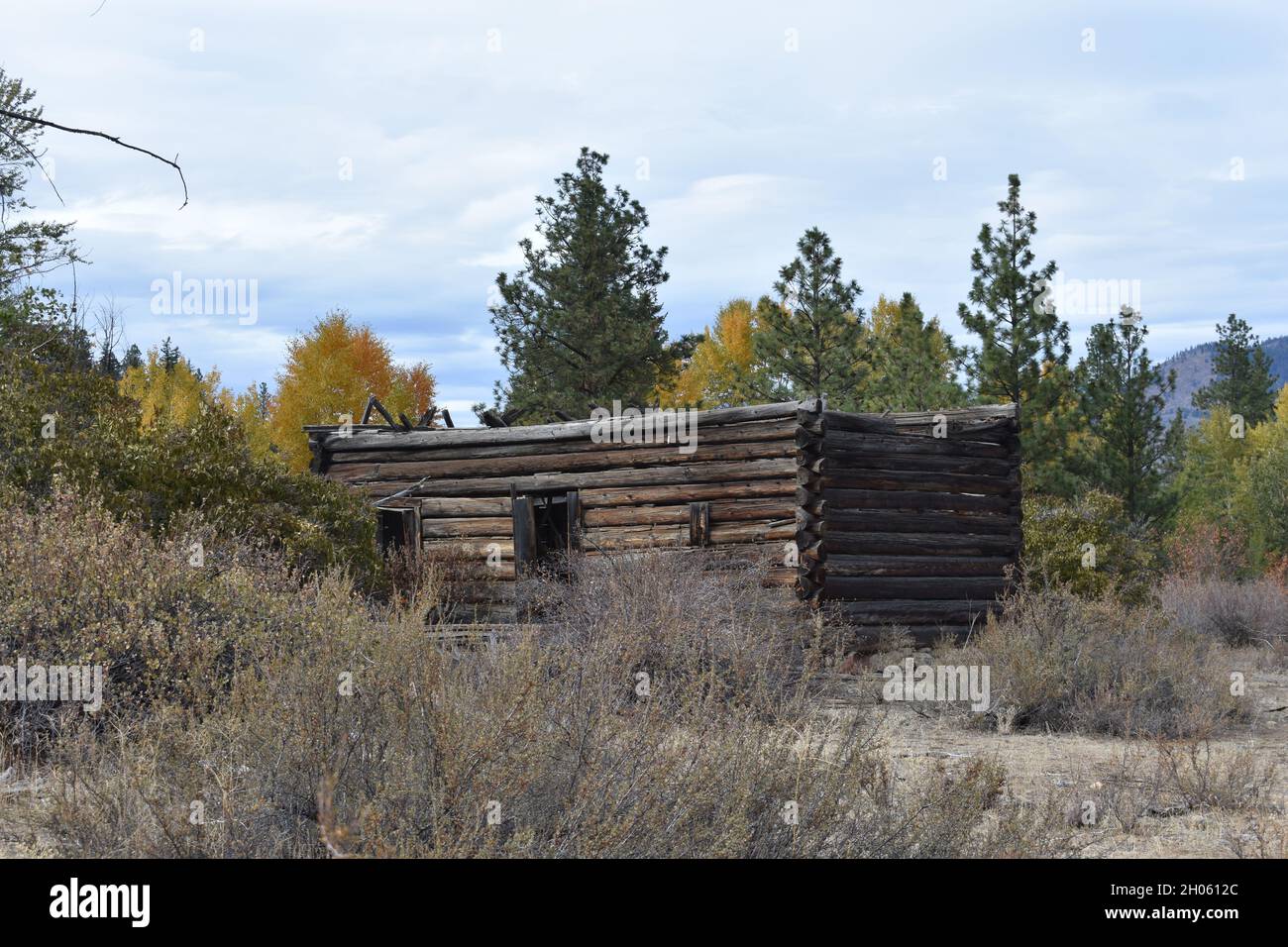 Abandoned log cabin in the forest Stock Photo - Alamy