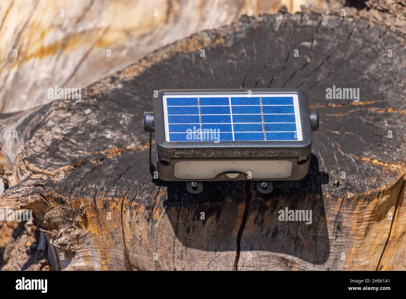 Led solar tree hi-res stock photography and images - Alamy
