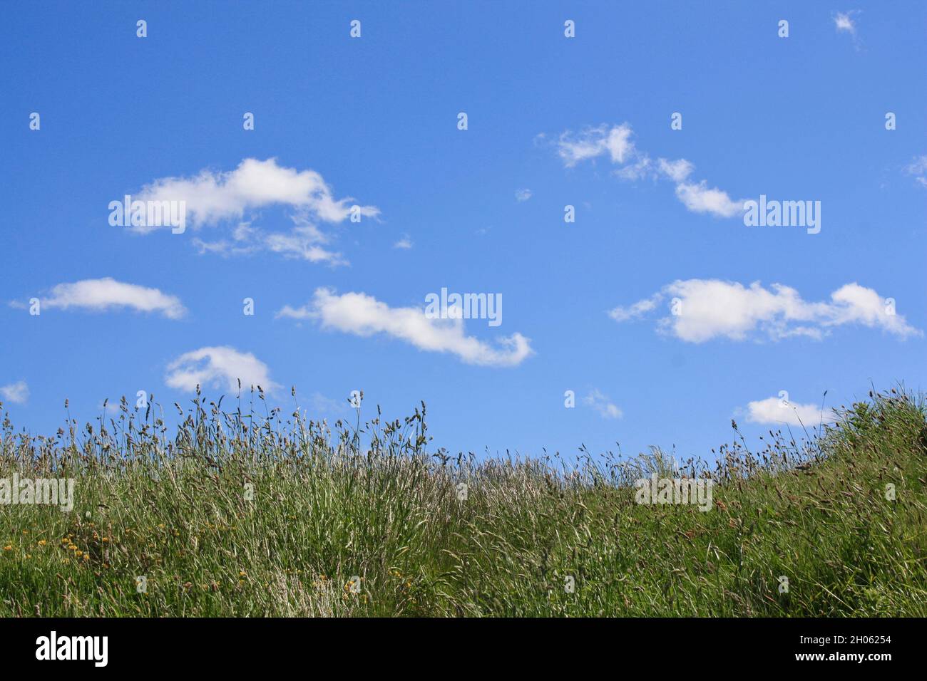 Vibrant blue and green landscape in Scotland Stock Photo - Alamy