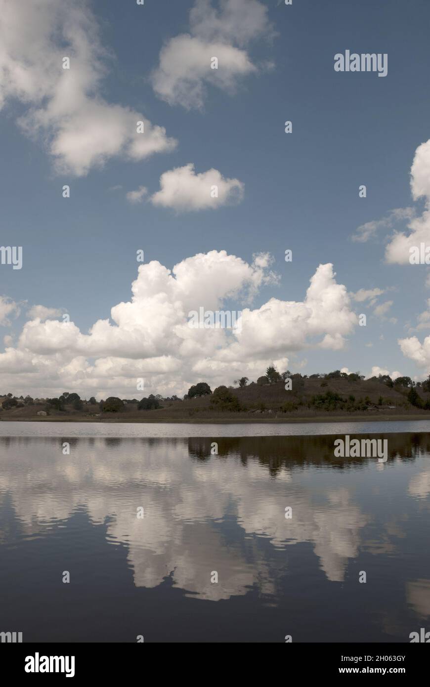 Quiche guatemala forest hi-res stock photography and images - Alamy