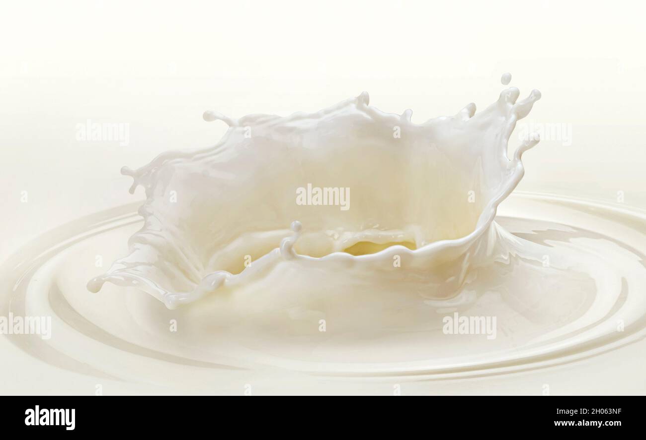 Milk drop with splashes on white background Stock Photo - Alamy