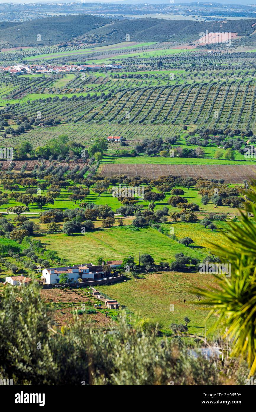 Portugal, Alentejo: landscape viewed from Monsaraz Stock Photo - Alamy