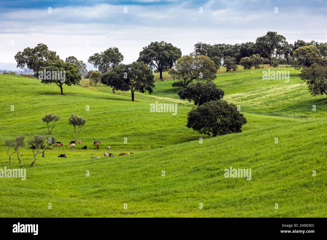 Portugal: rural landscape of the Alentejo region Stock Photo - Alamy