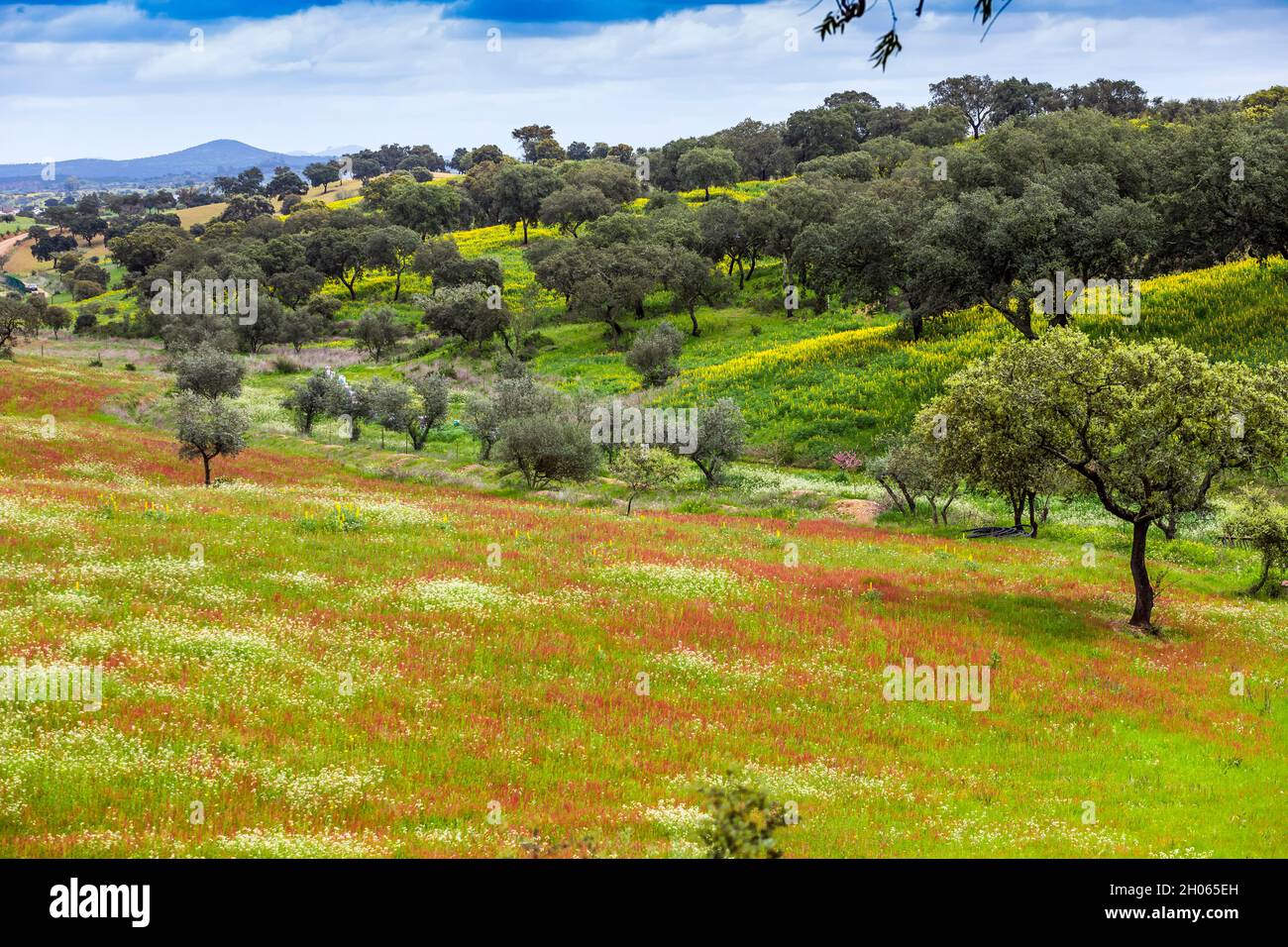 Portugal: rural landscape of the Alentejo region Stock Photo - Alamy