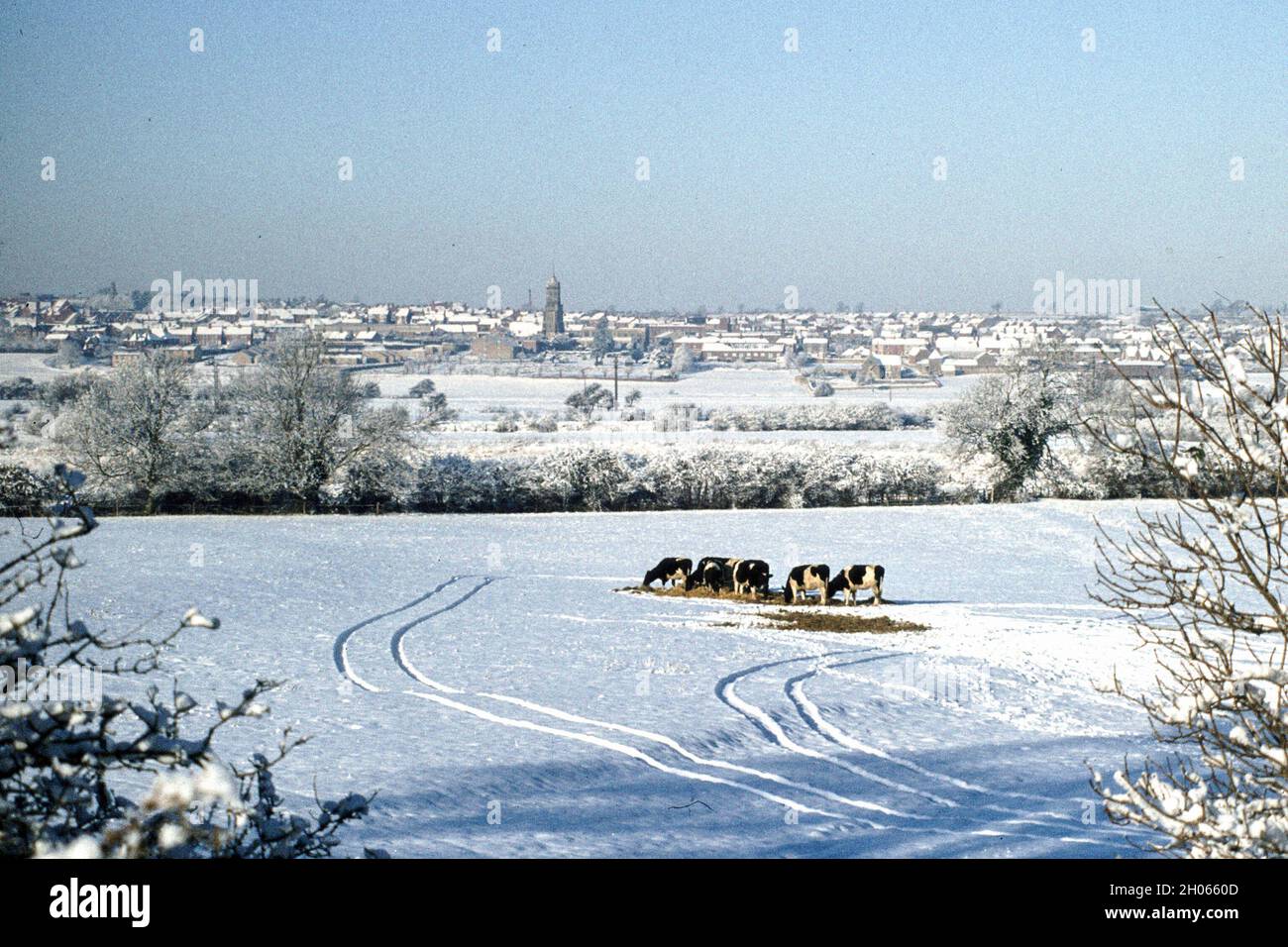 December 1981 hi-res stock photography and images - Alamy