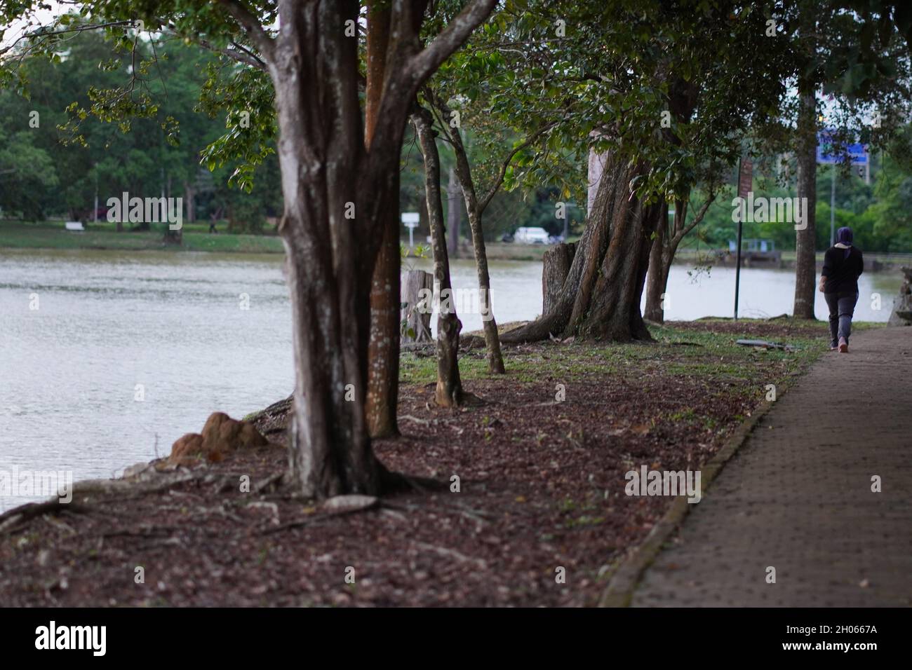 Dim atmosphere hi-res stock photography and images - Alamy