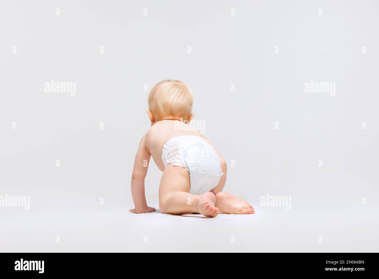 Back view portrait of little cute toddler girl, baby in diaper crawling ...