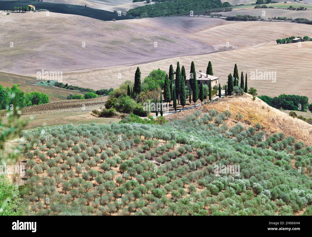 San Quirico d'Orcia. Typical landscape of Val d'Orcia Tuscany Italy ...
