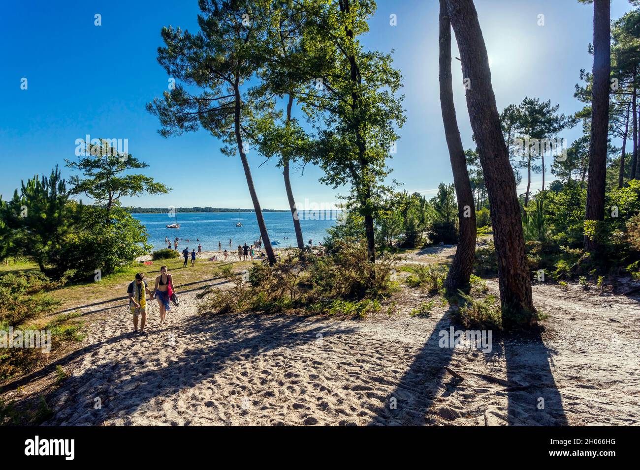 Sanguinet (south western France): beach of the Pond of Cazaux and ...