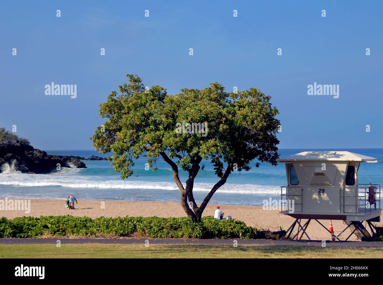 Life guard shack faces ocean on the Big Island of Hawaii. Single tree ...
