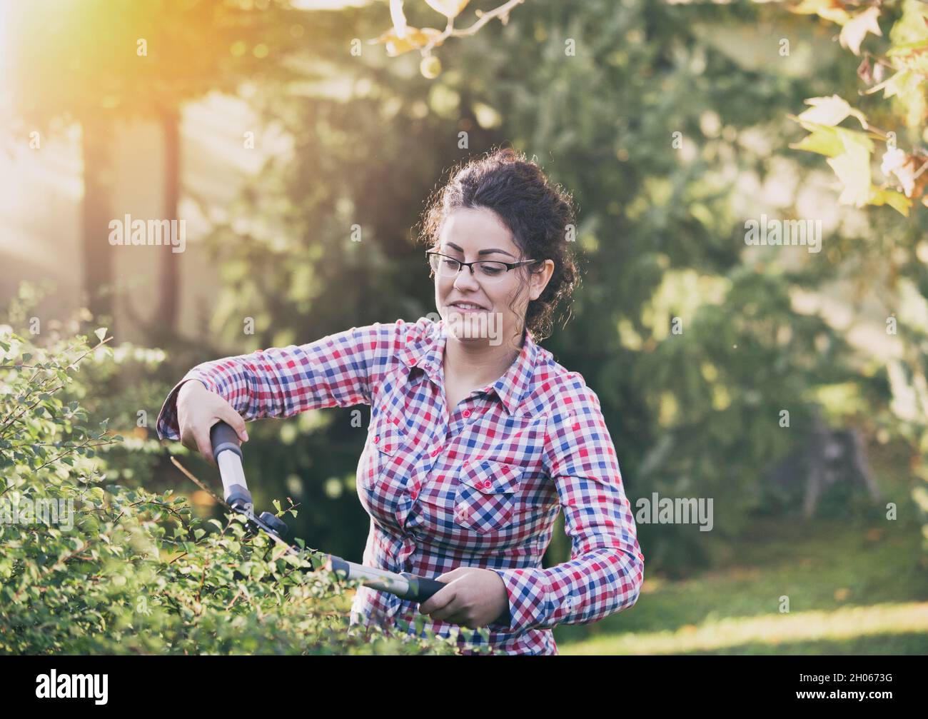 Hedge trimming woman hi-res stock photography and images - Alamy