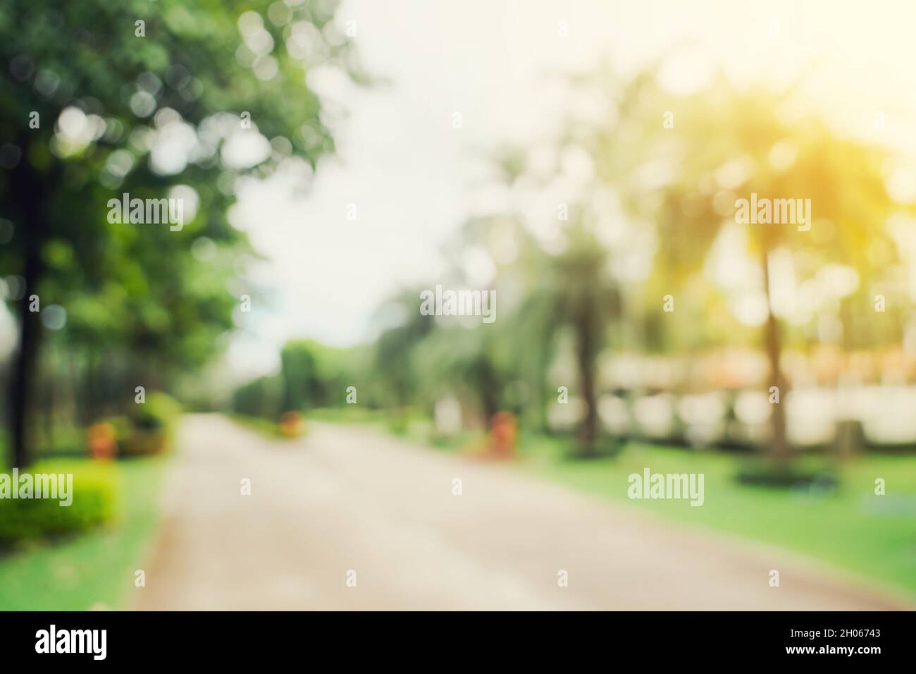 defocused bokeh and blur background of garden trees in sunlight with ...
