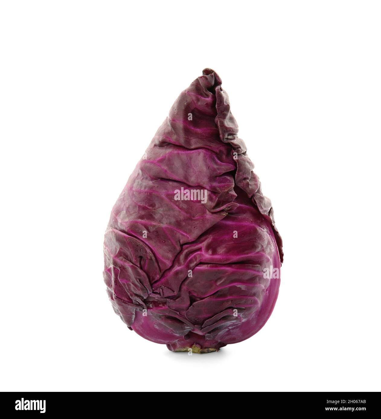 Pointed red cabbage on white background. Healthy food Stock Photo - Alamy