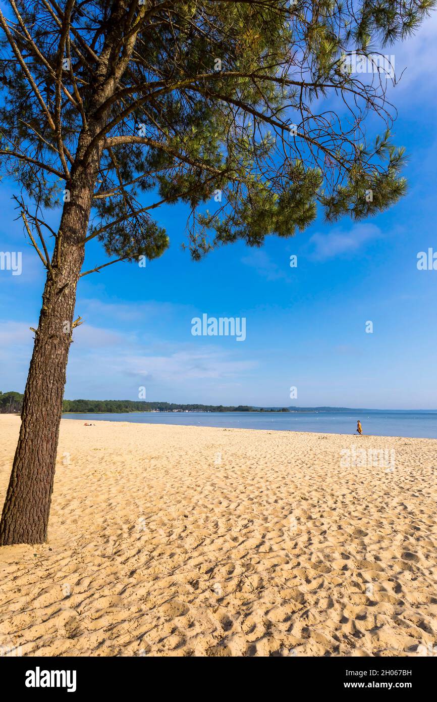 Sanguinet (south western France): the Pond of Cazaux and Sanguinet ...