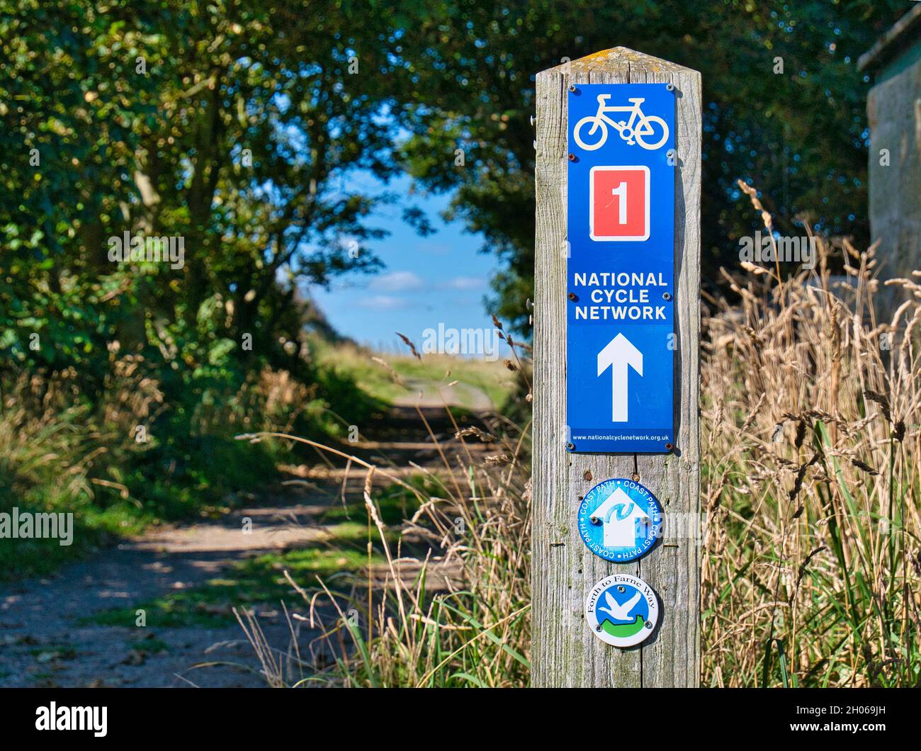 National cycle network route 1 hi-res stock photography and images - Alamy