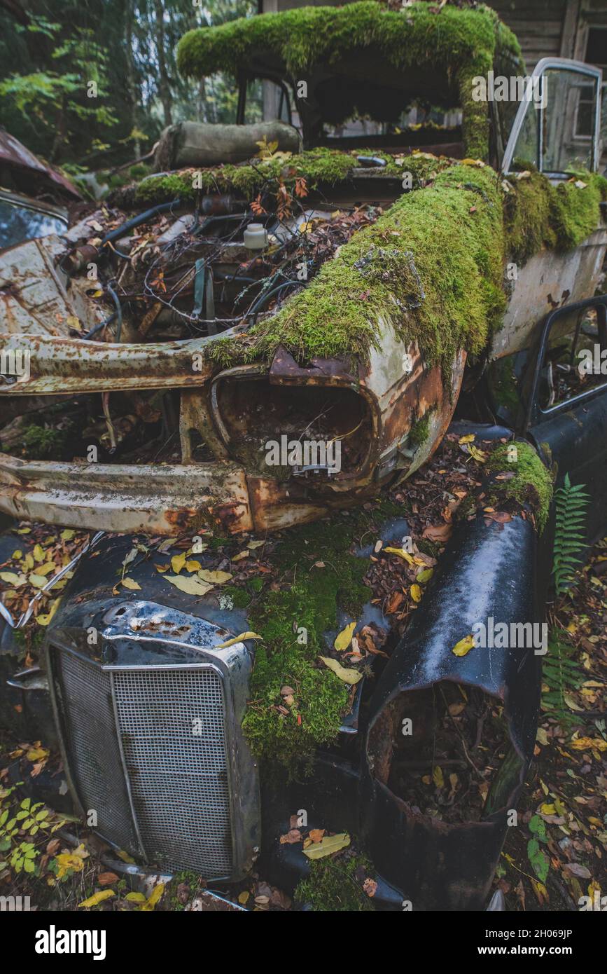 Autofriedhof hi-res stock photography and images - Alamy