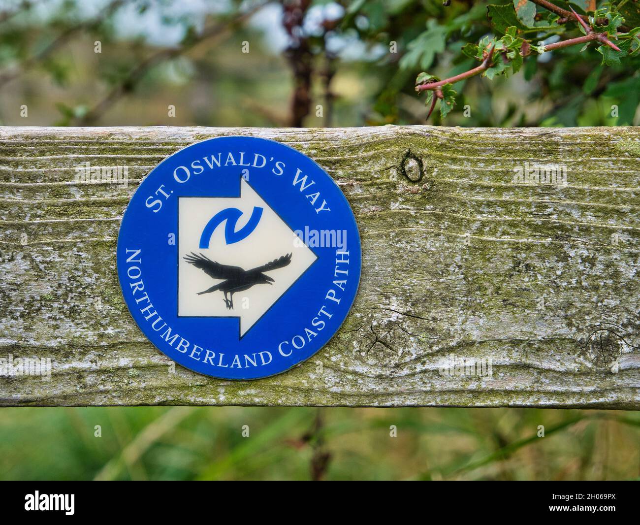 A circular, blue and white sign fixed to a weathered wooden stile ...
