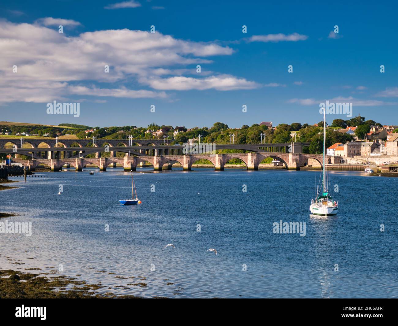 Royal tweed bridge hi-res stock photography and images - Alamy