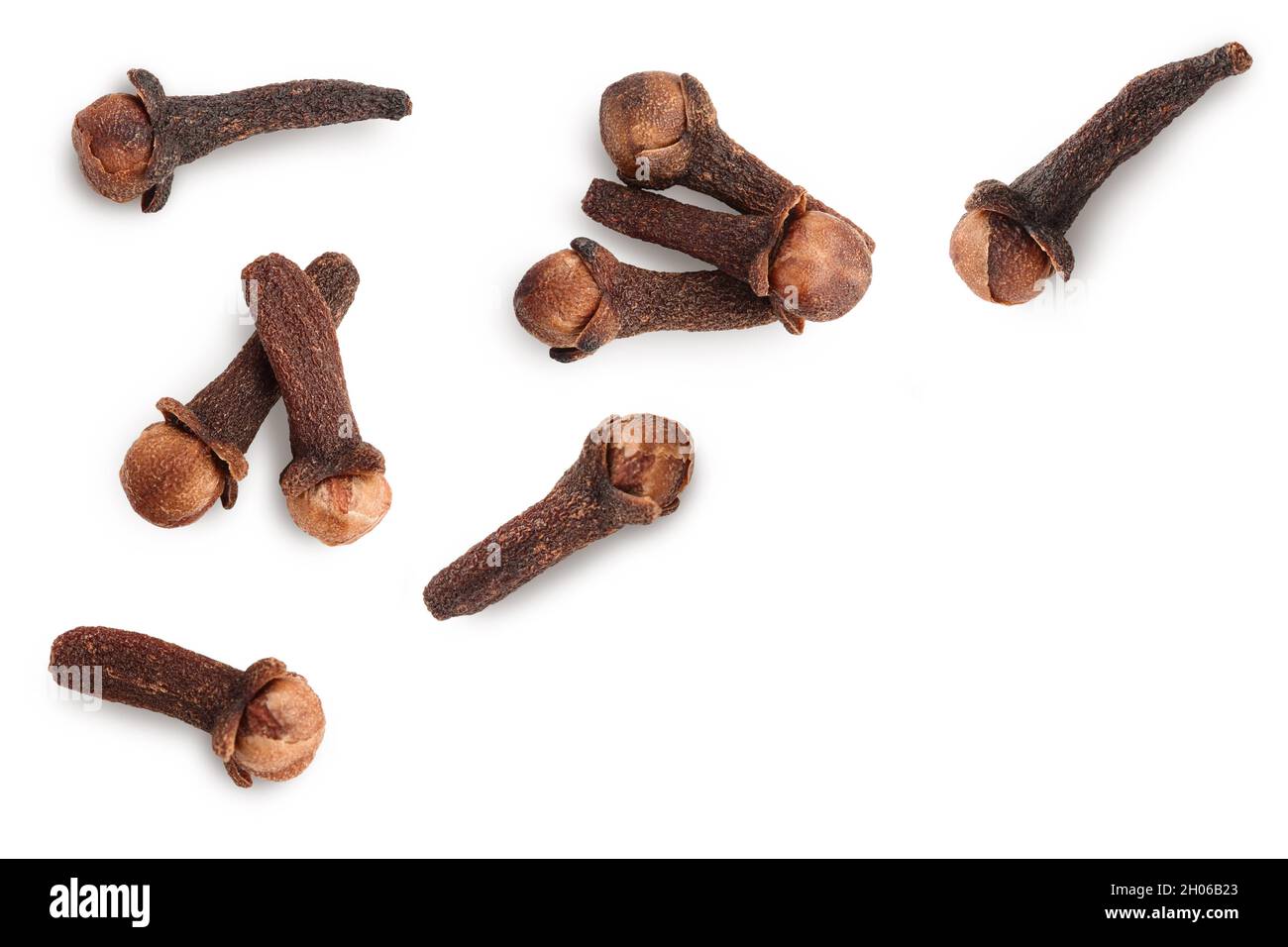 Dry spice cloves isolated on white background. Top view with copy space ...