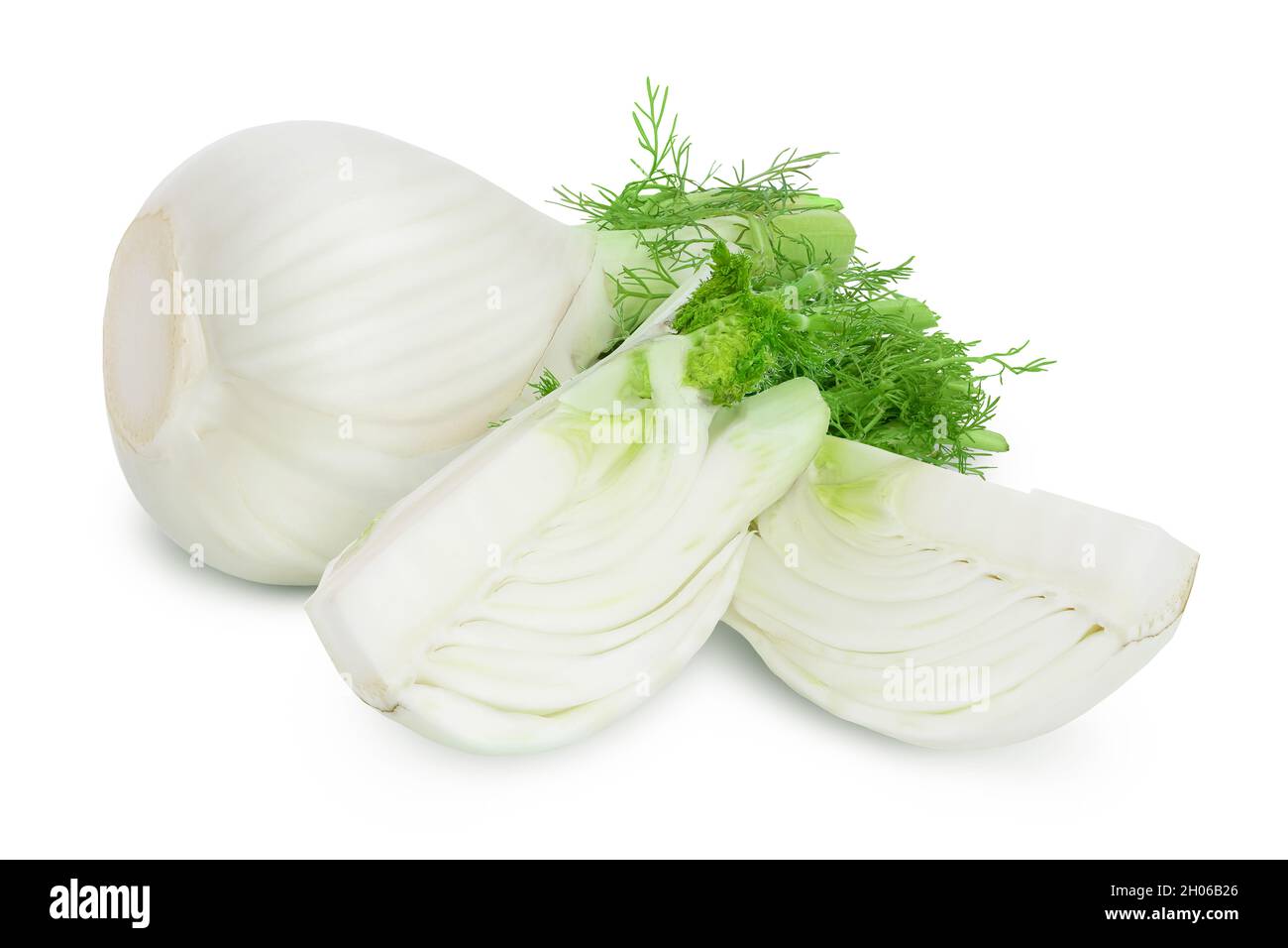 fresh fennel bulb piece isolated on white background with clipping path ...