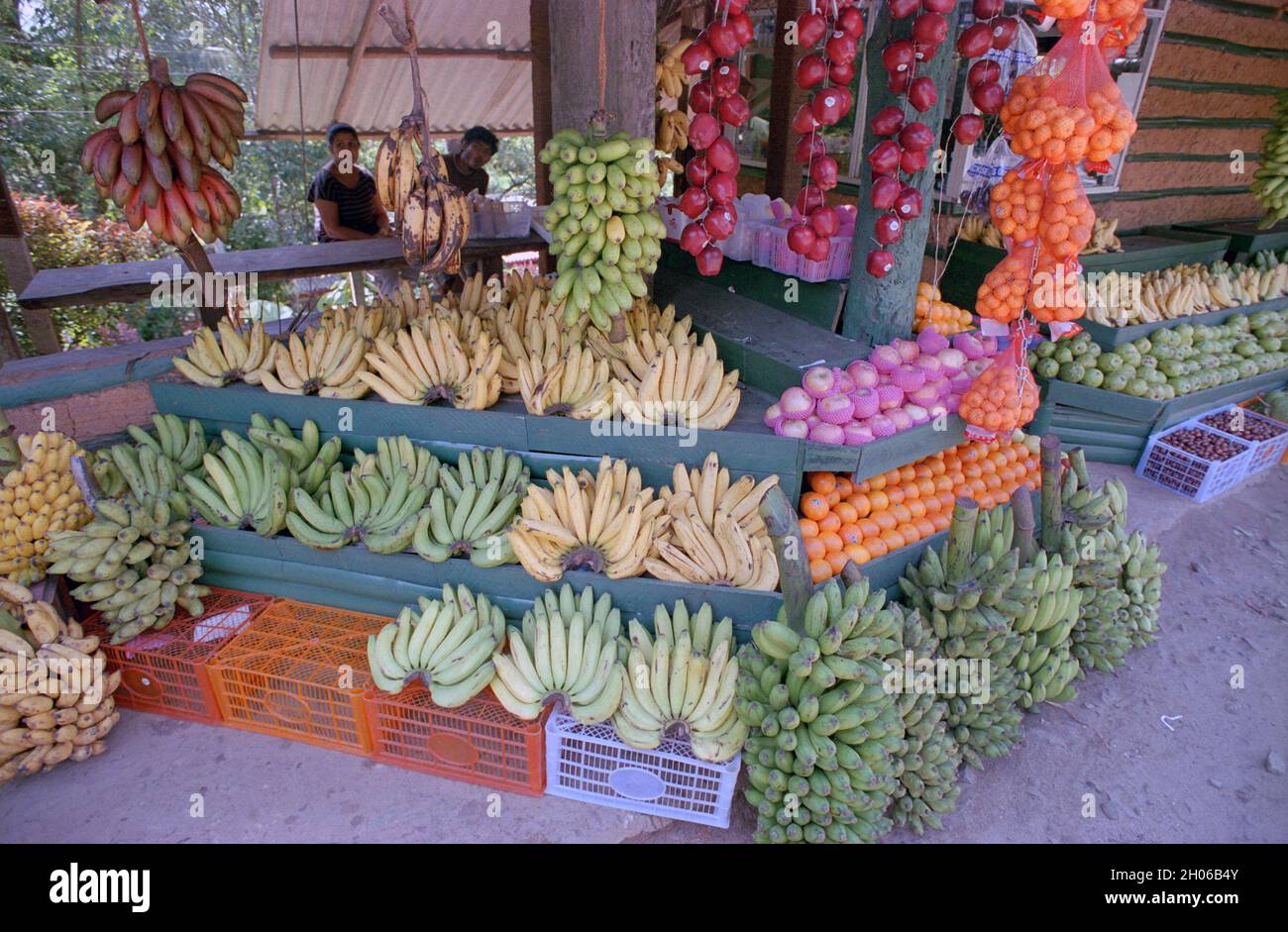 SRI LANKA: Fruit on display selling bananas , pomegranates oranges and ...