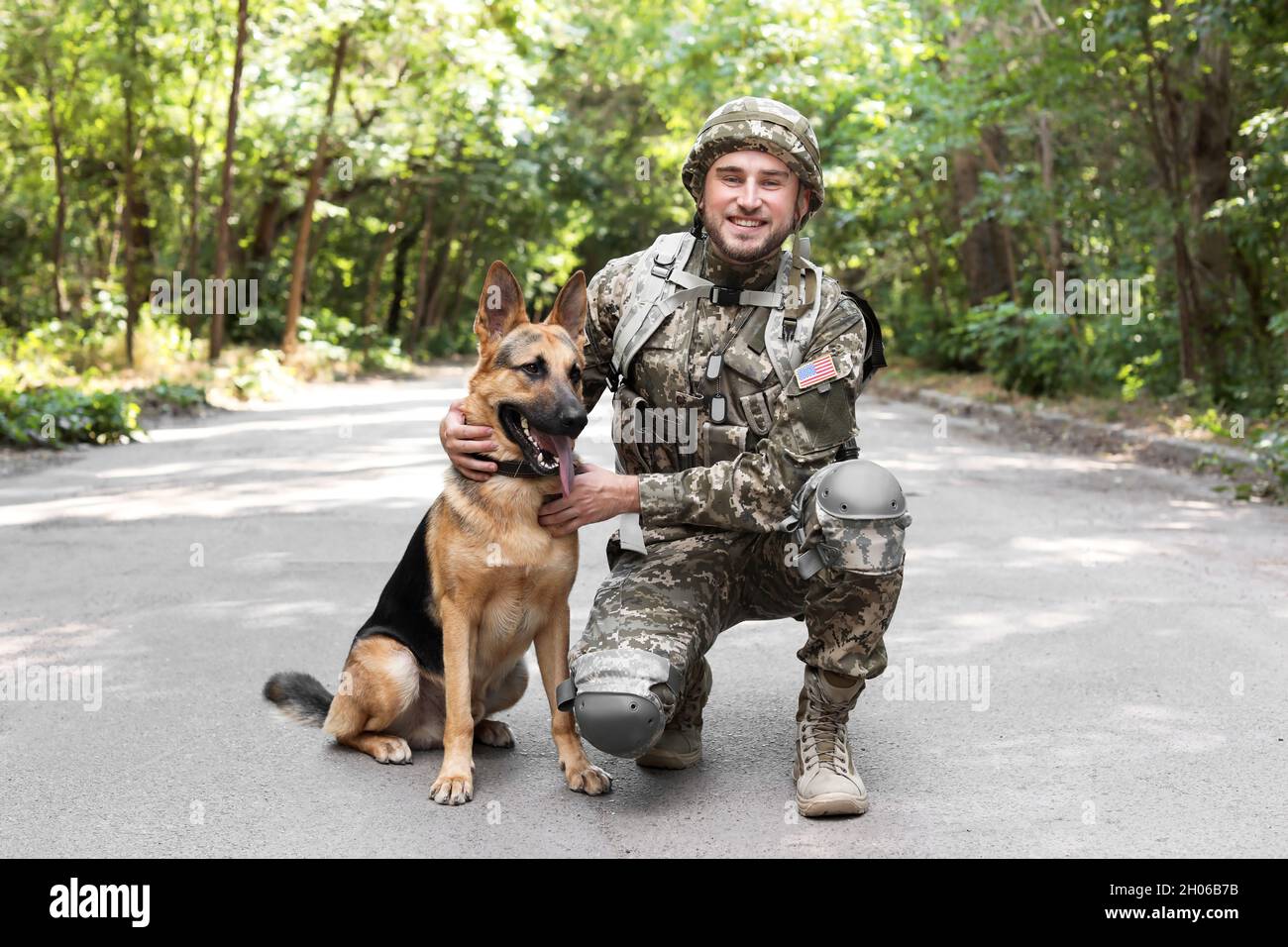 German Shepherd Soldier