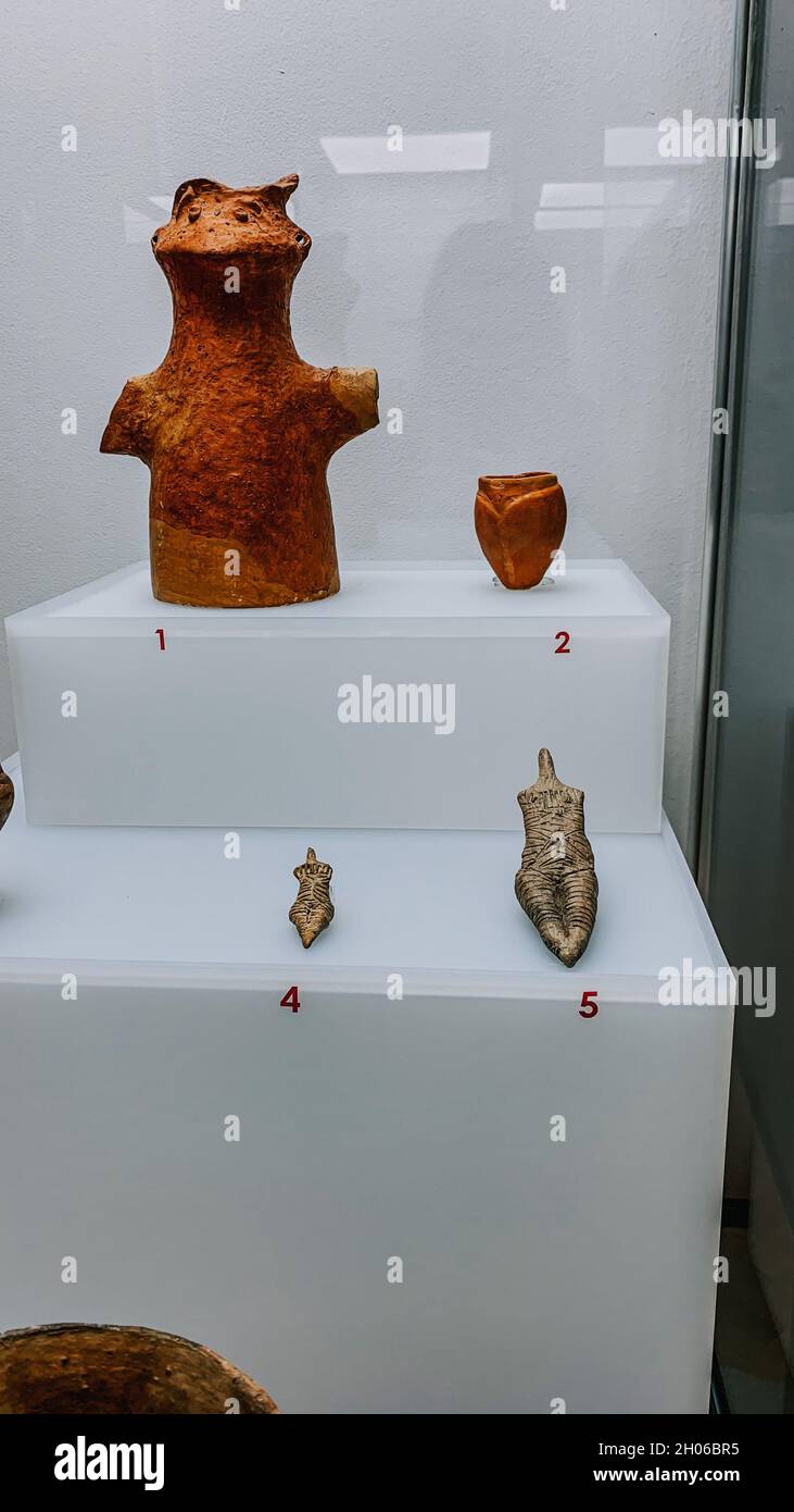 IA, ROMANIA - Aug 26, 2021: The items displayed in Moldova History ...