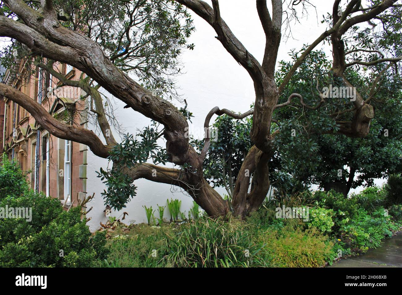 Tully park hi-res stock photography and images - Alamy