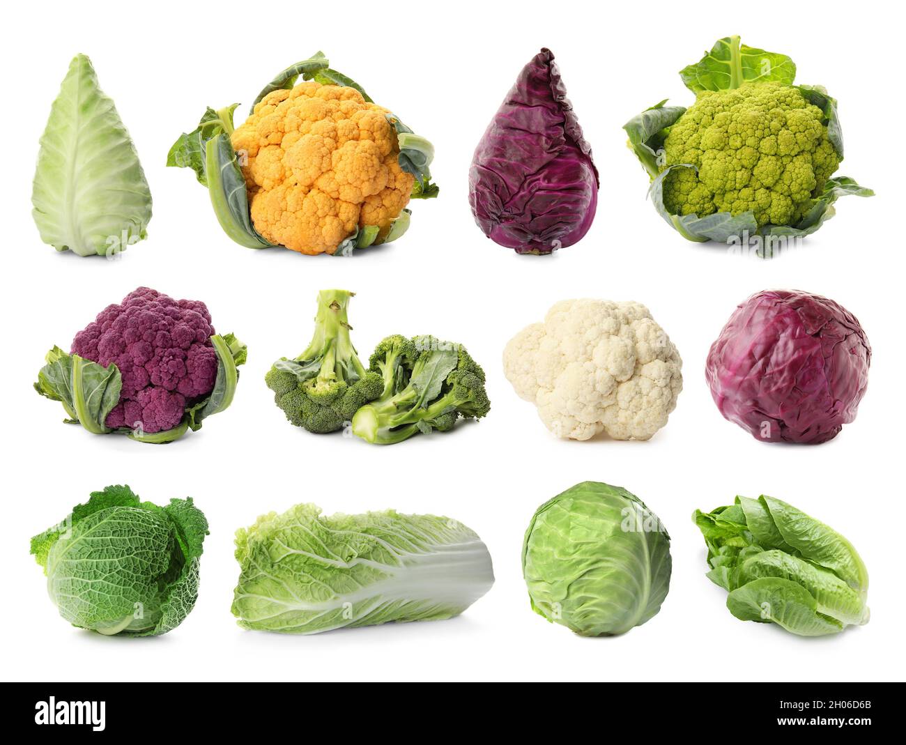 Set with different types of cabbage on white background Stock Photo - Alamy