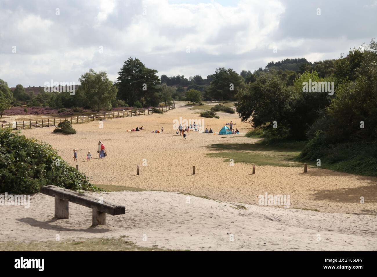 Man made sandy beach at Frensham Great Pond and Common, West Surrey ...
