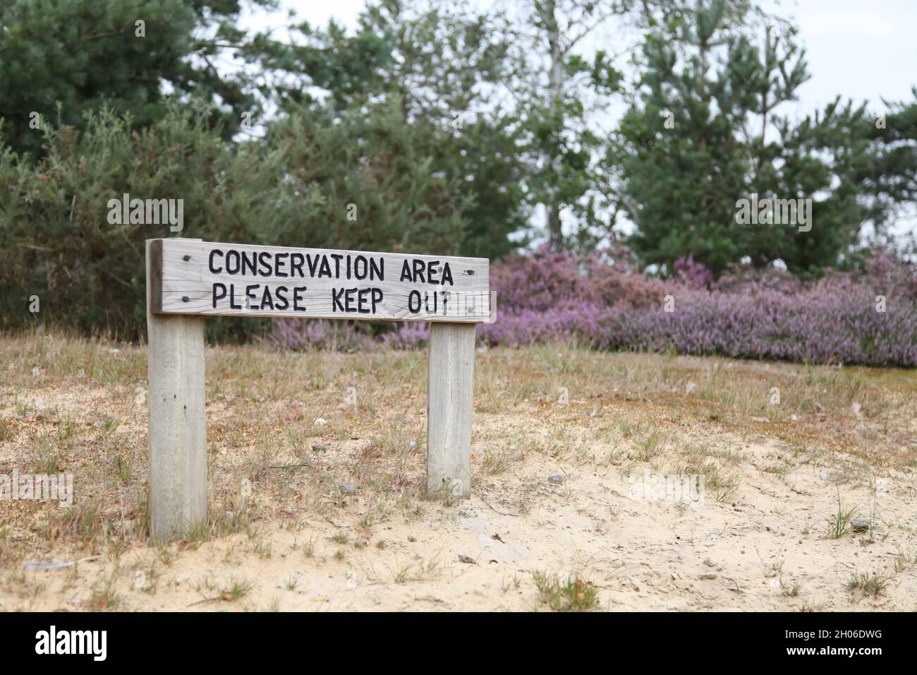 Conservation area sign at Frensham Great Pond and Common, West Surrey ...